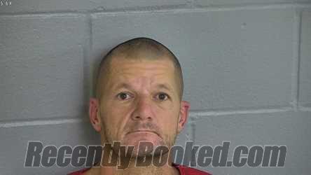 Recent Booking / Mugshot for ROBERT RAY MANN in Levy County, Florida