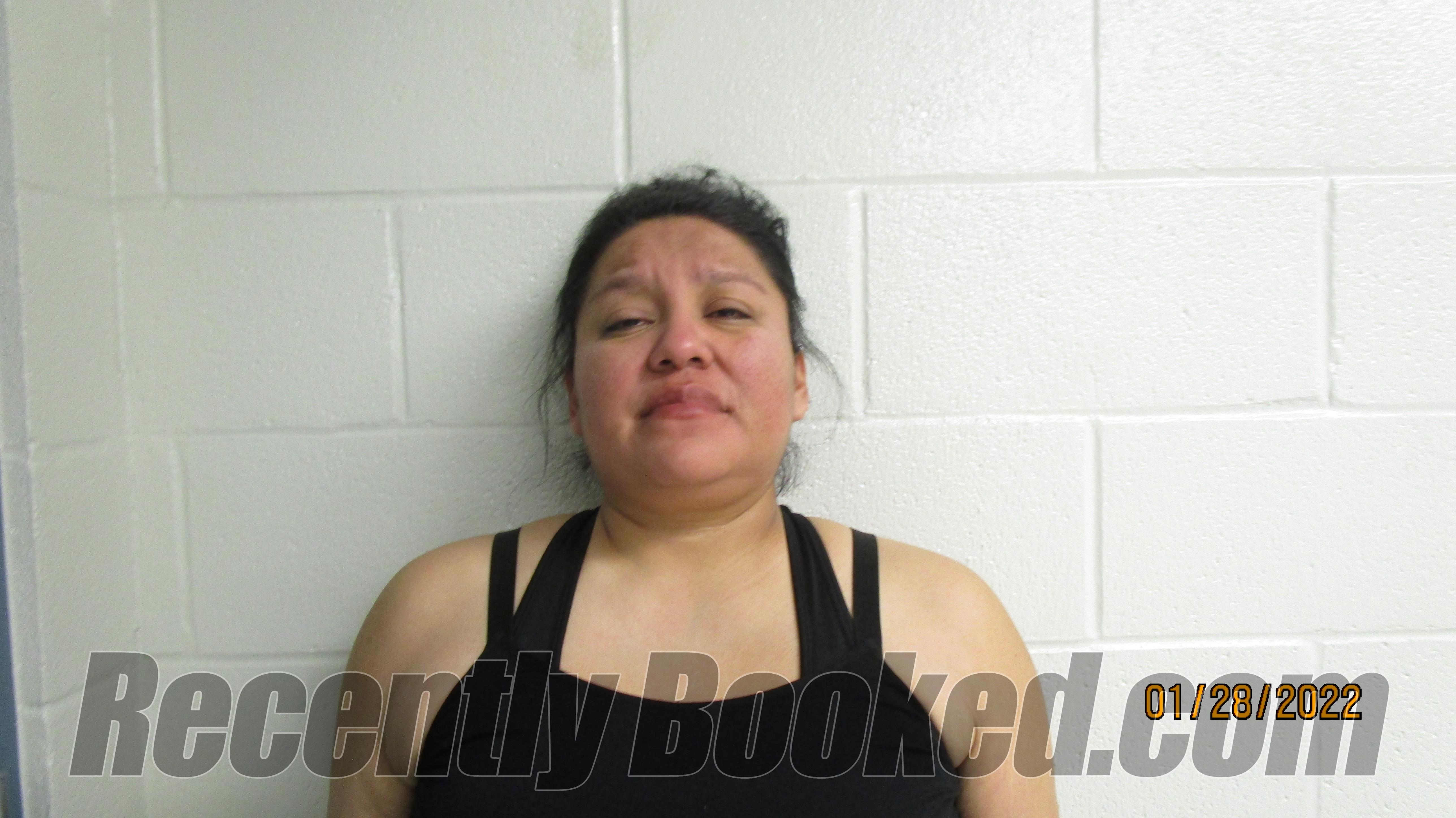 Recent Booking / Mugshot for FERNESSA MARCELENE BROOKS in Martin County ...