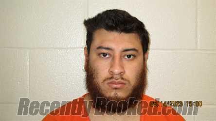 Recent Booking / Mugshot for DAVID RAMIREZ in Martin County, Texas