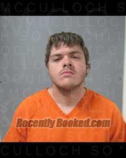 Recent Booking / Mugshot for BRUCE JAY MCDAVID in McCulloch County, Texas