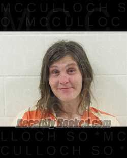 Recent Booking / Mugshot for MEGAN NICOLE ESTES in McCulloch County, Texas
