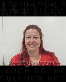 Recent Booking / Mugshot for ERIN MCNEELY POPE in McCulloch County, Texas