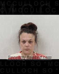 Recent Booking / Mugshot for COURTNEY ROCHELLE GARNER in McCulloch ...