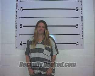 Recent Booking / Mugshot for AMANDA GAIL LEMONS in Montague County, Texas