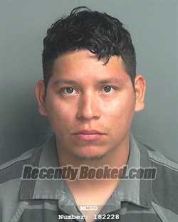 Recent Booking / Mugshot for JOSE ALBERTO OLVERA in Montgomery County, Texas
