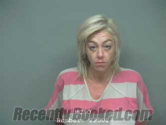 Recent Booking / Mugshot for ERIN ANNETTE HERRING in Montgomery County ...