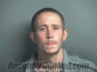 Recent Booking / Mugshot for AUSTIN JOHN MEADOR in Montgomery County, Texas