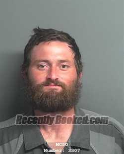 Recent Booking / Mugshot for AUSTIN LEE SHEPPEARD in Montgomery County ...