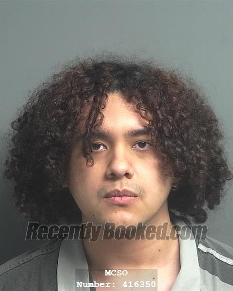 Recent Booking / Mugshot for ADAN REYNA in Montgomery County, Texas