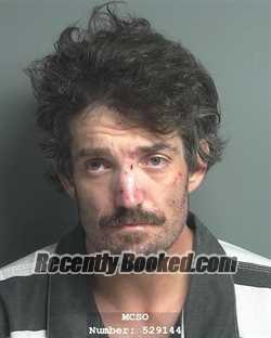Recent Booking / Mugshot for NICHOLAS SHAUN NORMAN in Montgomery County ...