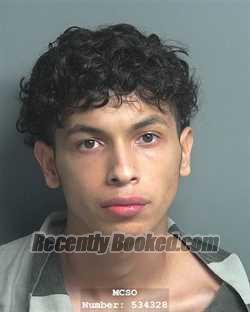 Recent Booking / Mugshot for LEOPOLDO SALDANA JR in Montgomery County ...