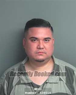 Recent Booking / Mugshot for RAUDEL JR TORRES in Montgomery County, Texas