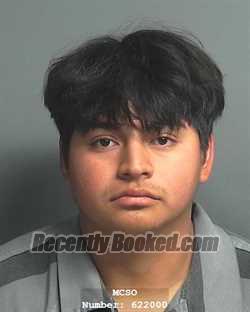 Recent Booking / Mugshot for ANDERSON GABRIEL MARTINEZ MATUS in ...