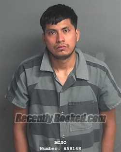 Recent Booking / Mugshot for SERGIO ALEJO PAREDES in Montgomery County ...