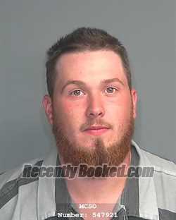 Recent Booking / Mugshot for AIDAN MITCHELL ALLISON-STAMP in Montgomery ...