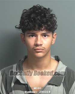 Recent Booking / Mugshot for BENJAMIN DAVID BAIN in Montgomery County ...