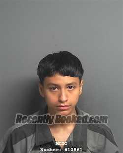Recent Booking / Mugshot for JOSHUA BARRON in Montgomery County, Texas