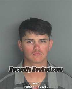 Recent Booking / Mugshot for MICHAEL RAY BERMEA in Montgomery County, Texas
