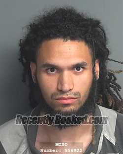 Recent Booking / Mugshot for SETH JOSEPH DEMERSON in Montgomery County ...