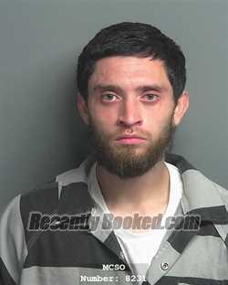 Recent Booking / Mugshot for BRIAN PETER GRACE in Montgomery County, Texas