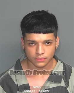 Recent Booking / Mugshot for JESSE JAMES GAONA in Montgomery County, Texas