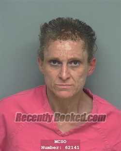 Recent Booking / Mugshot for BRANDY DAWN HAGGARD in Montgomery County ...