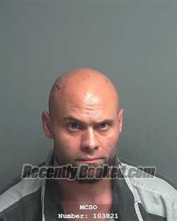 Recent Booking / Mugshot for TIMOTHY GARLAND HAMILTON in Montgomery ...
