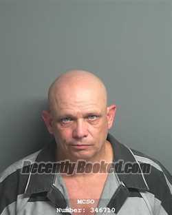 Recent Booking / Mugshot for JAMIE TAYLOR in Montgomery County, Texas