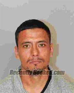 Recent Booking / Mugshot for ROGER JAY MENDIOLA in Nueces County, Texas