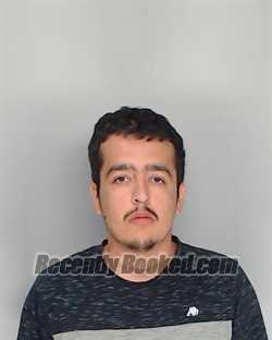Recent Booking / Mugshot for ROGELIO RENE PEDRAZA in Nueces County, Texas