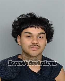 Recent Booking / Mugshot for NICKOLAS CHRISTIAN LARA in Nueces County ...