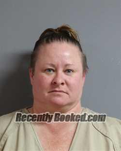 Recent Booking / Mugshot for MELISSA LEA SCHOONOVER in Palo Pinto ...