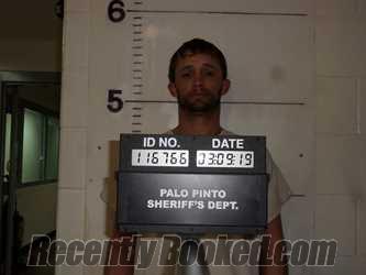 Recent Booking / Mugshot for RYAN LEE AKIN in Palo Pinto County, Texas