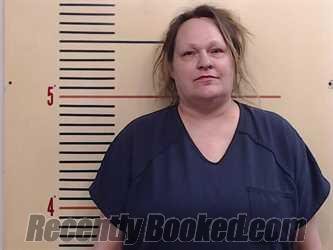 Recent Booking / Mugshot for Robin Lavern Blevins in Parker County, Texas