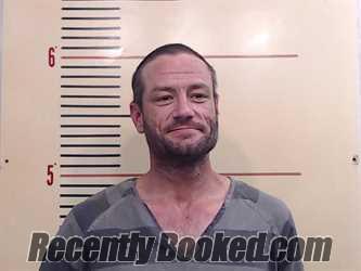 Recent Booking / Mugshot for Thomas Webber Hage in Parker County, Texas