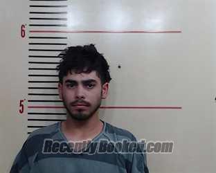 Recent Booking / Mugshot for MARIO MICHAEL CASTRO in Parker County, Texas