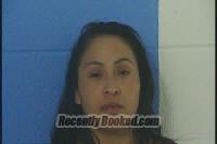 Recent Booking / Mugshot for MANUELA MAGDALENA JUMON-CASTRO in Parmer ...