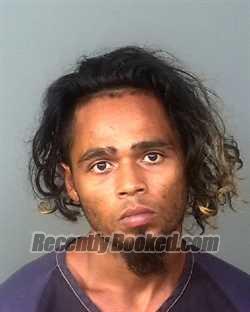 Recent Booking / Mugshot for HECTOR VALENTIN in Manatee County, Florida