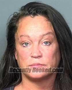Recent Booking / Mugshot for DAWN JANE EVANS SULLIVAN in Manatee County ...