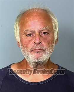 Recent Booking / Mugshot for DANNY LIMONGELLI in Manatee County, Florida