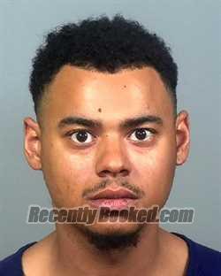 Recent Booking / Mugshot for CHRISTOPHER MICHA OWENS in Manatee County ...