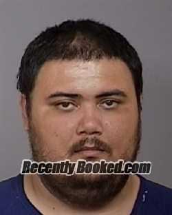 Recent Booking / Mugshot for JACOB AARON ROMINE in Manatee County, Florida