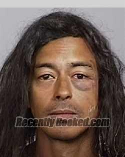 Recent Booking / Mugshot for HENRY IVAN AMAYA in Manatee County, Florida