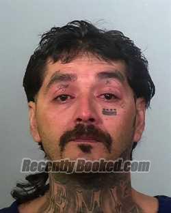 Recent Booking / Mugshot for REYNALDO ROJAS in Manatee County, Florida