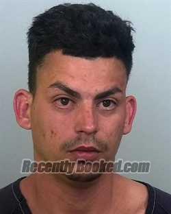 Recent Booking / Mugshot for YOANDRIS PEREZ MORALES in Manatee County, Florida