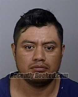 Recent Booking / Mugshot for ELAIN FRANCISCO ROBLERO MORALES in Manatee County, Florida