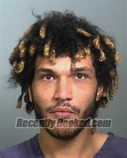 Recent Booking / Mugshot for JOSHUA MATTHEW FOX-CASTAGNA in Manatee ...