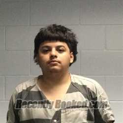 JULIAN ALEJANDRO GALVAN Arrest Record & Booking Info – Polk County ...