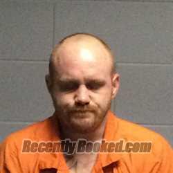 Recent Booking / Mugshot for EVERITT WAYNE MCADAMS in Polk County, Texas