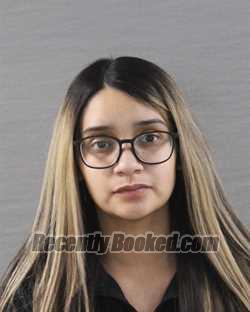 Recent Booking / Mugshot for SYLVIA ANN CORONA in Randall County, Texas